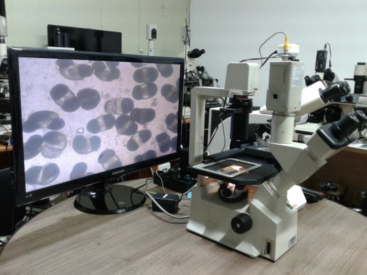 Nikon TMS-F Inverted Phase Microscope : 네이버 블로그