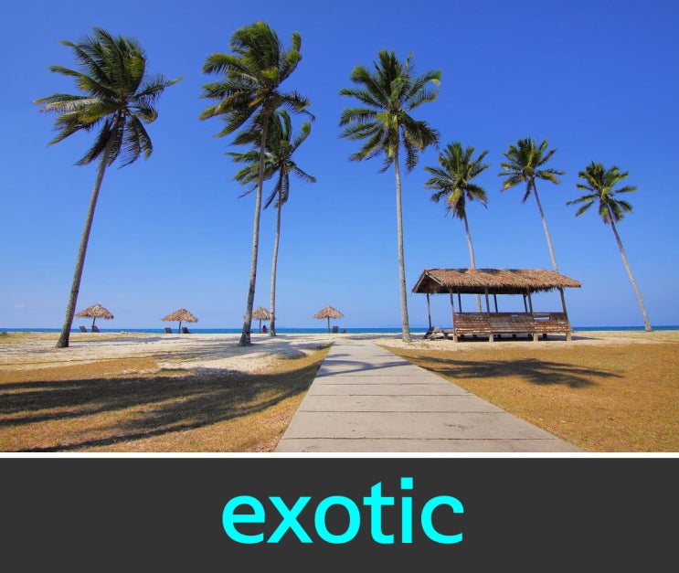 exotic - 어원학습 : 네이버 블로그