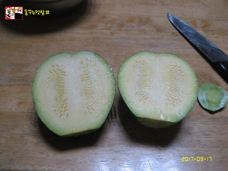 이 또한 지나가리니 : 네이버 블로그