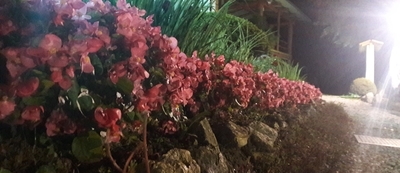 9월의 수.농.가. 풍경 : 네이버 블로그