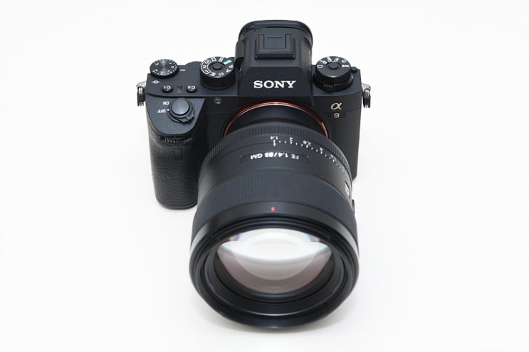 Sony A9 Review - For sports photographers : 네이버 블로그