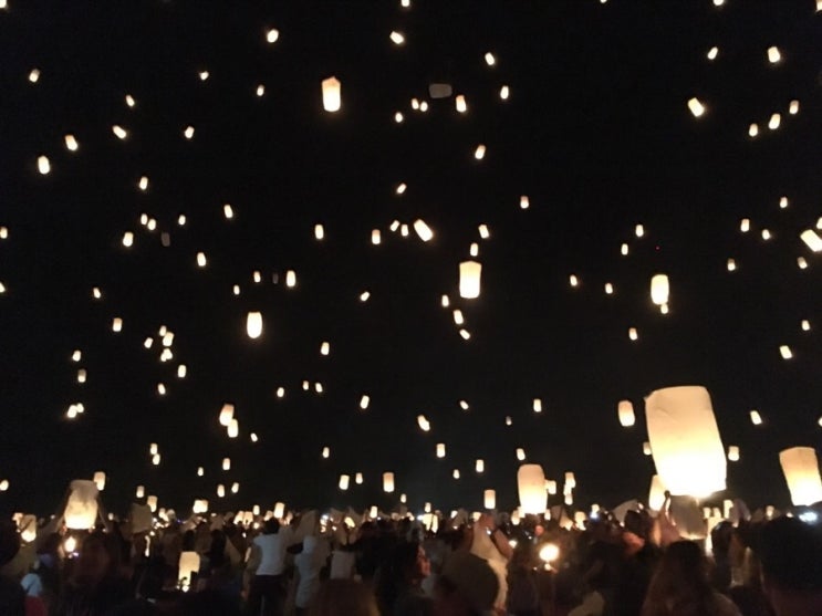 The Lights Fest Ottawa, 그냥 보기 아까울 만큼 멋진 풍등 행사 : 네이버 블로그