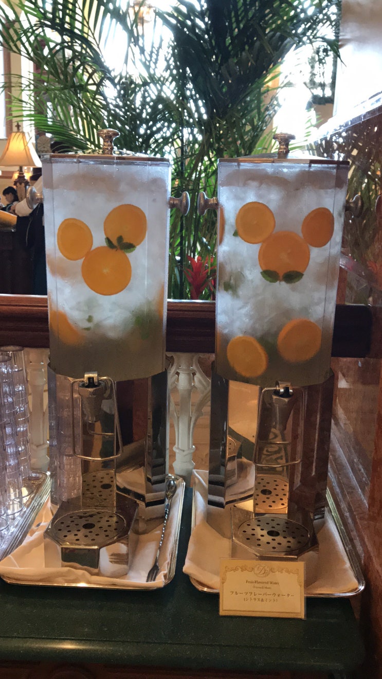 리틀 그린 에일리언 덤플링 Little Green Alien Dumpling : 네이버 블로그