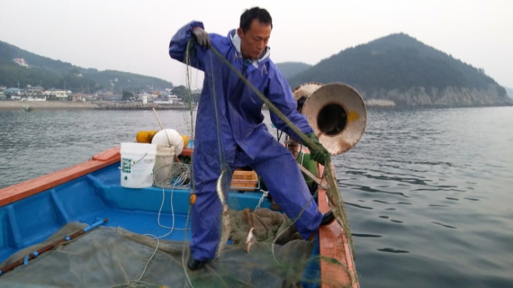 내년에는 : 네이버 블로그