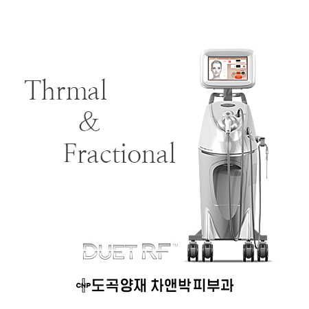 [도곡양재차앤박] 만능 팔방미인 - Duet RF : 네이버 블로그