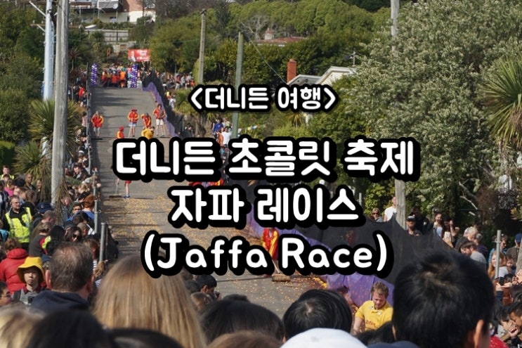 뉴질랜드 더니든 초콜릿 페스티벌: 자파 레이스(Jaffa Race) : 네이버 블로그