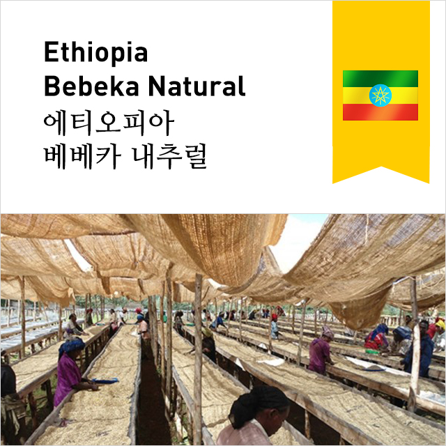 품절커피 1월 신상, 에티오피아 베베카 내추럴 더치커피 : 네이버 블로그