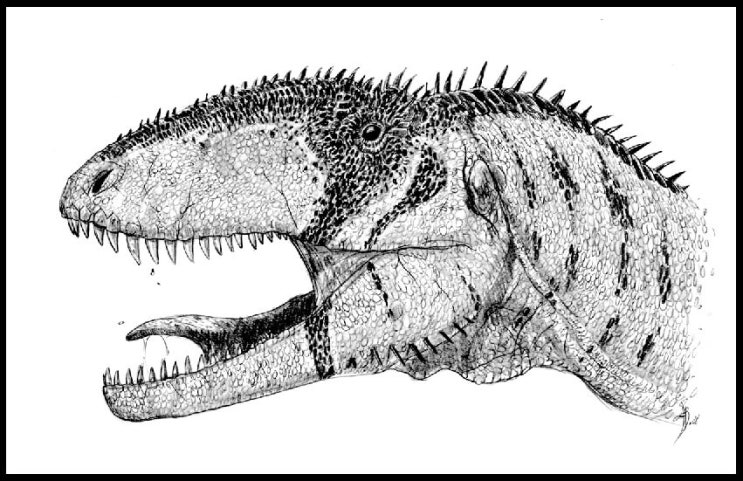 에오카르카리아(Eocarcharia) : 네이버 블로그