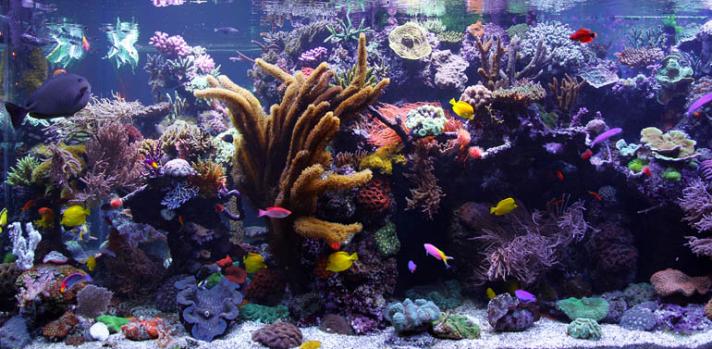 AI 조명 프로파일 - 데이빗 삭스비의 HD 스케쥴 : 네이버 블로그