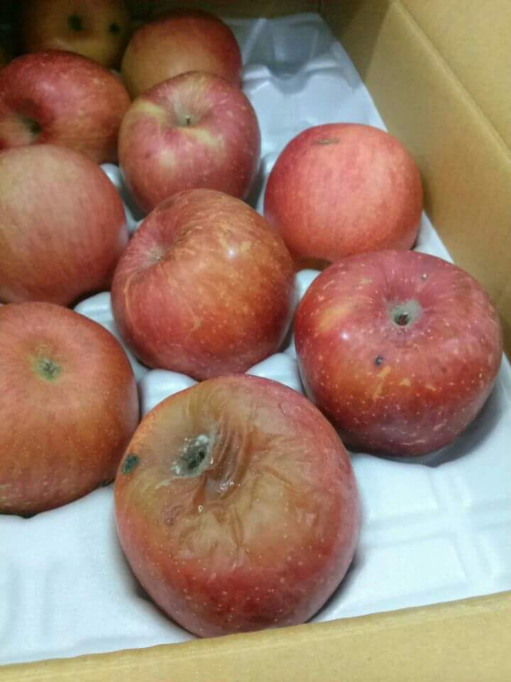 어린이집에 썩은사과를 납품받은 한국몬테소리어린이집을 고발합니다 네이버 블로그