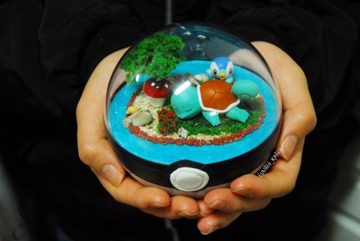 포켓몬스터 몬스터볼 테라리움 - 잠자는 꼬부기 / 꼬북이 (Pokemon terrarium - Squirtle) : 네이버 블로그