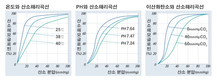 ABGA (Arterial blood gas analysis 동맥혈액가스분석) : 네이버 블로그