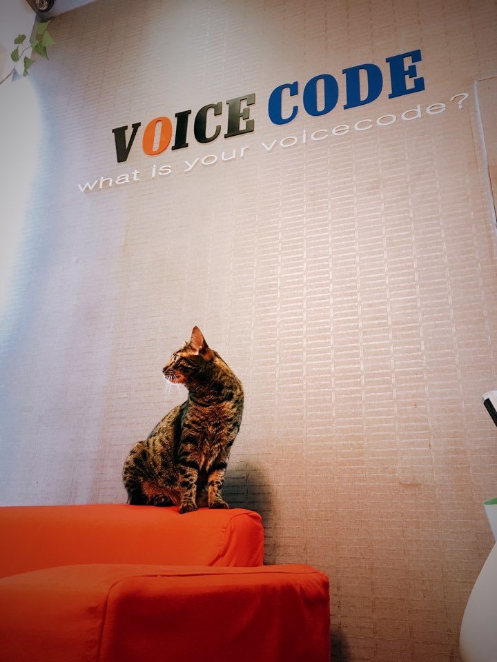 보이스코드 실용음악학원에서 배우는 작곡하는 법 : 네이버 블로그