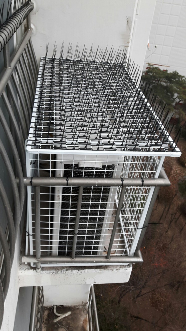 부천비둘기퇴치,부천비둘기똥청소,부천비둘기차단은 전문업체만 가능한가요?-부천 다정한마을 : 네이버 블로그