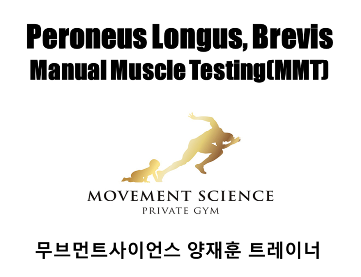 [수지PT]장비골근, 단비골근(Peroneus Longus, Brevis)과 Manual Muscle Testing : 네이버 블로그
