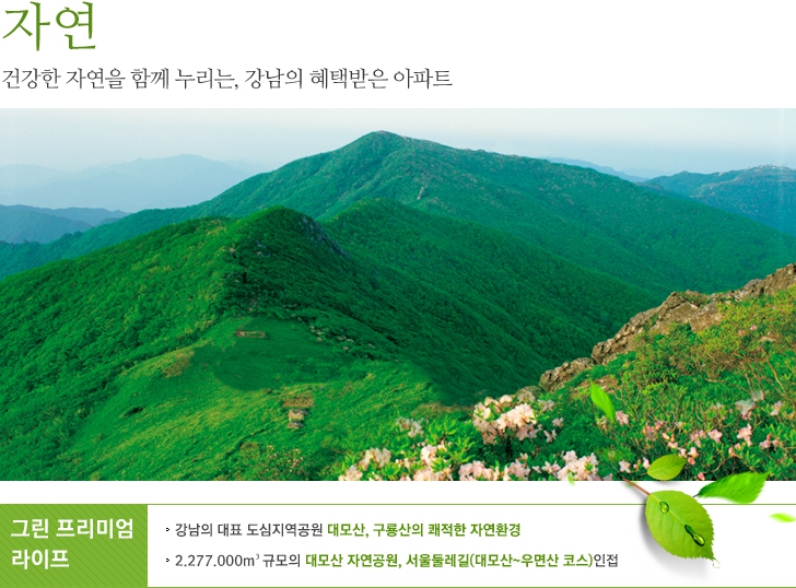 강남구 세곡동 세곡푸르지오 아파트34평 전세 정보 네이버 블로그