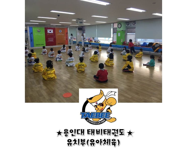 유치부 유아체육 소개 용인대 태비태권도 네이버 블로그