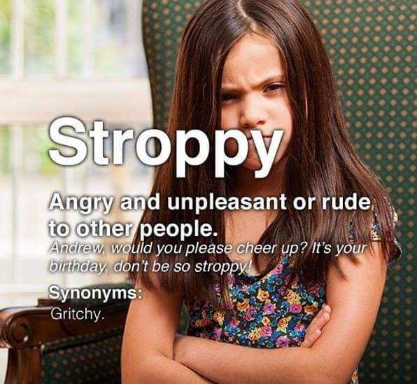 영어단어. stroppy [英 비격식]짜증을 잘 내는, 까다로운 : 네이버 블로그