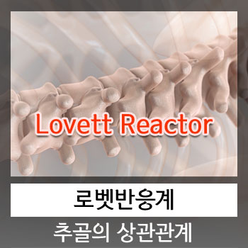 로벳반응계(Lovett Reactor) 추골의 상관관계 : 네이버 블로그
