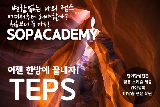 TEPS 청해, 케이스별 공부법 알아보기! : 네이버 블로그