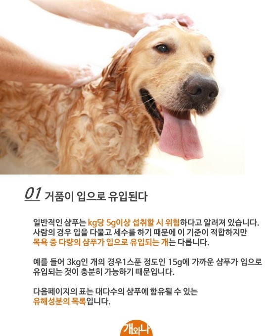 강아지 얼굴을 애견샴푸로 씻기면 안되는 5가지 이유 강아지 천연샴푸 강아지 세안비누 네이버 블로그
