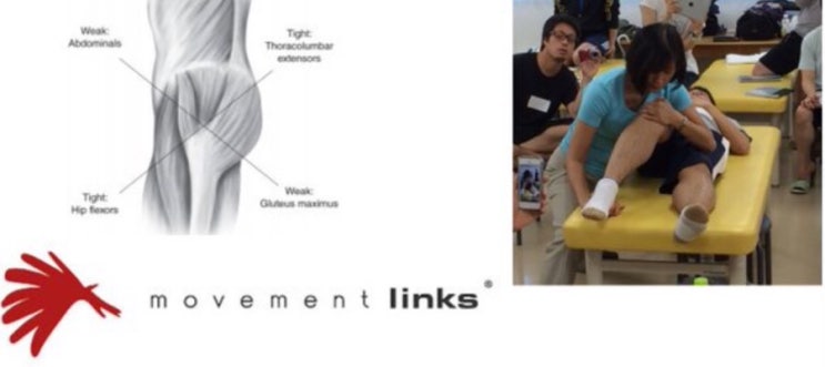 Movement Links course (Janda, DNS, MIS) - 움직임 분석 및 치료 [Physiotherapy 물리 ...