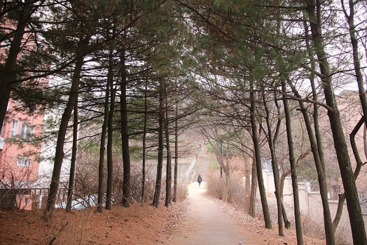 서울 여행서울 걷기좋은길 서대문 안산자락길 코스안산둘레길 올라가는 방법 네이버 블로그