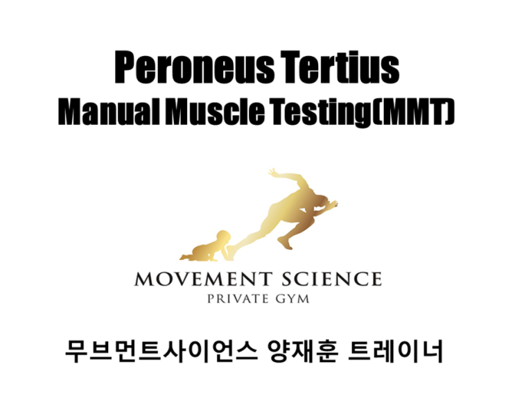 [수지PT]제3비골근(Peroneus Tertius)과 Manual Muscle Testing : 네이버 블로그
