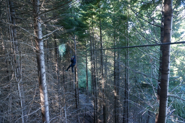 [뉴질랜드여행] 퀸즈타운 숲 속을 가로지르는 짚트랙(Zip Trek) : 네이버 블로그
