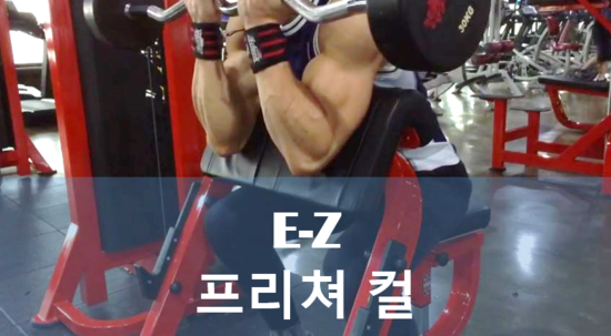 군산 Pt군산 피티 멋진 팔 근육을 만들기위한 군산 프리덤 휘트니스 프로젝트여름에 팔자랑 하자 네이버 블로그