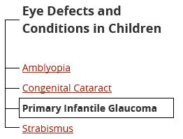 primary infantile glaucoma : 네이버 블로그