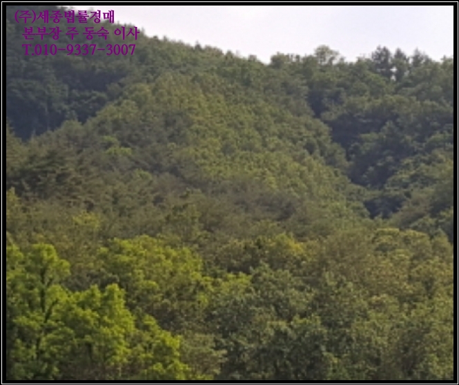 영덕군토지임야 법원경매 영덕군 남정면 중화리 시세매매급매전세 네이버 블로그