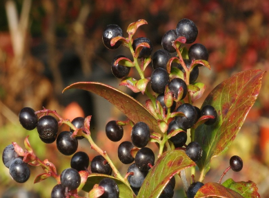 ASDASDASDASDASㅇㄹㄷㅈㅍ : 네이버 블로그