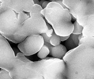 Porous Ceramics - Sample Preparation for SEM : 네이버 블로그
