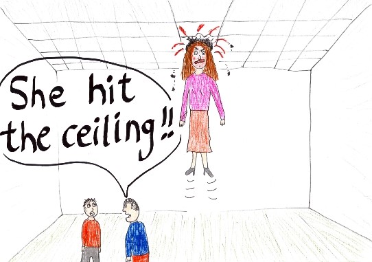 “Hit the ceiling” : 네이버 블로그