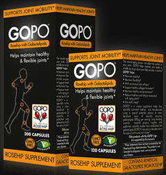 Jakemans Inc사의 관절용 제품 GOPO의 미국시장진출 : 네이버 블로그