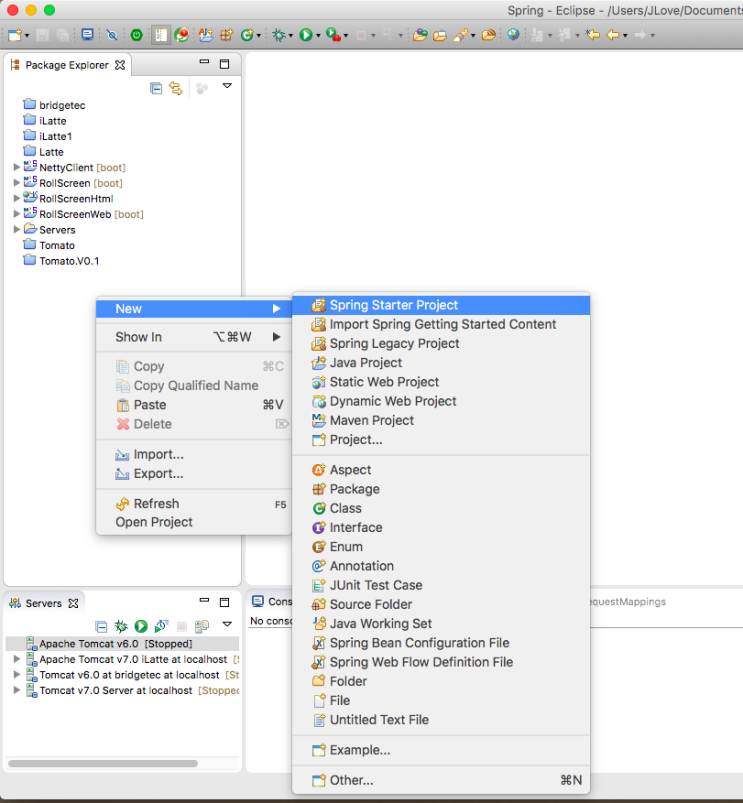 Spring Boot Netty Client 서버에 접속 프로그램 #2 Spring Boot 프로젝트 생성 : 네이버 블로그
