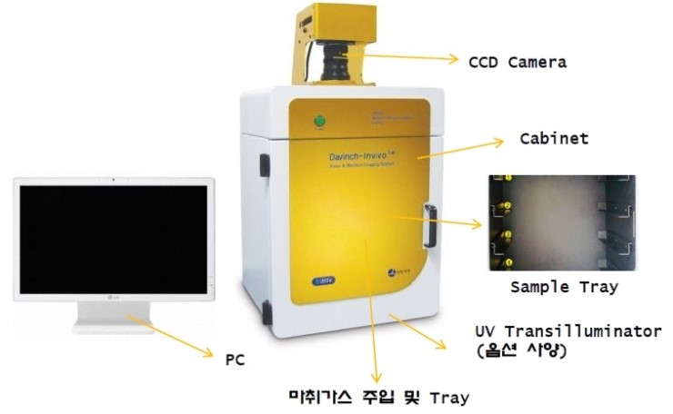 Davinch-Invivo™Imaging system : 네이버 블로그