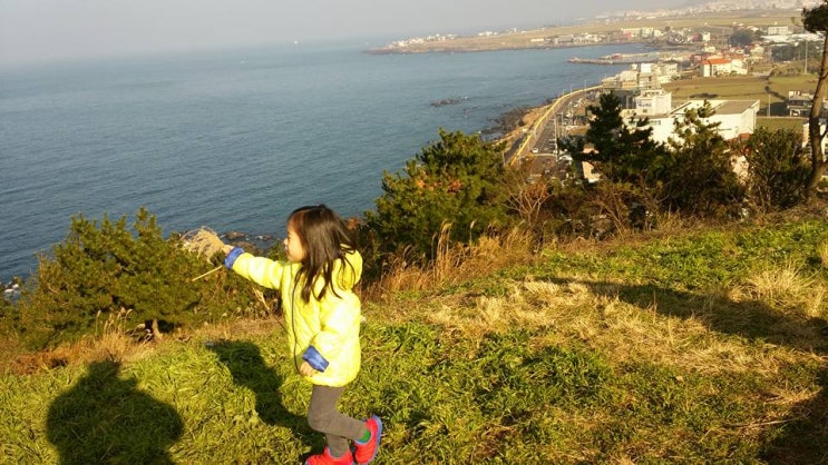 영어동요, Wag Your Tail | Animal Action Verb Song : 네이버 블로그