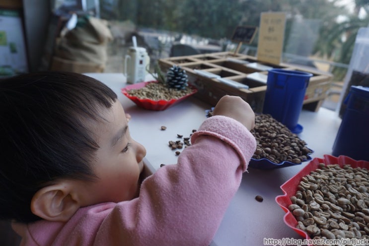 제주한달살기 (26) 세계술박물관, 만덕이네, 커피박물관 바움, 산호상점, 목지섬 : 네이버 블로그