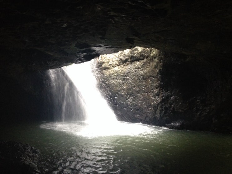 호주) Springbrook National Park-Natural Bridge, glow worms, 스프링브룩 네셔널파크 ...