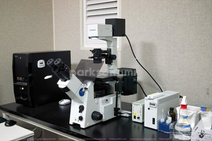 OLYMPUS IX71 Research Inverted Microscope (올림푸스 IX71 연구용 형광 위상차 도립 현미경 ...