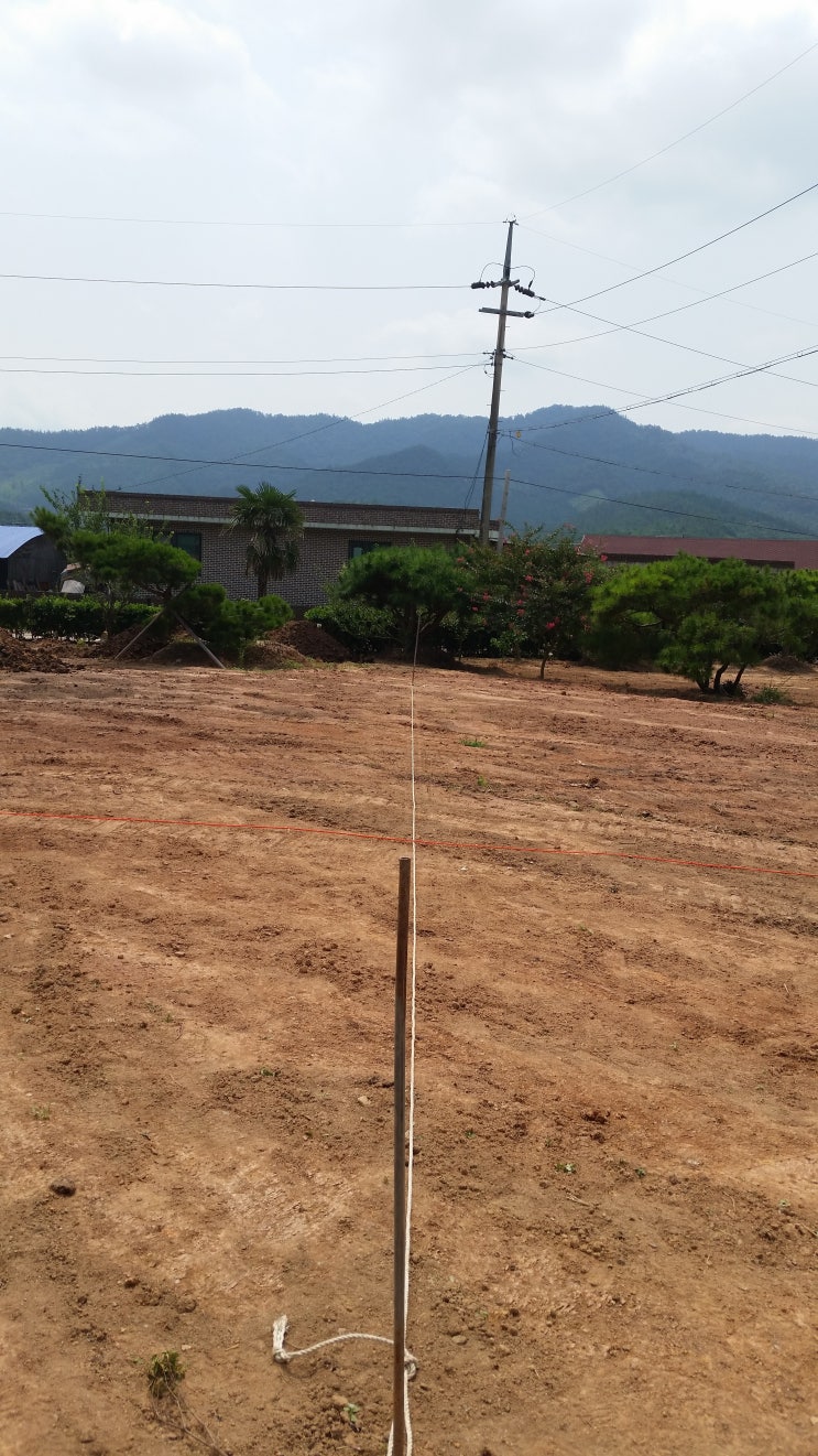 집 앉을 자리 ( 좌향- 건축가,건축주,지관,목수의 선택) : 네이버 블로그