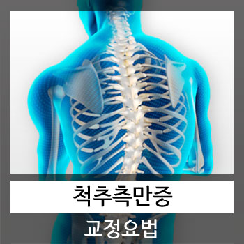 척추측만증 카이로프랙틱&롤핑요법 : 네이버 블로그