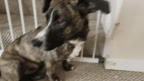 [미동부] 생산적이었던 금요일, 시골 새댁의 일상포스팅 : 네이버 블로그