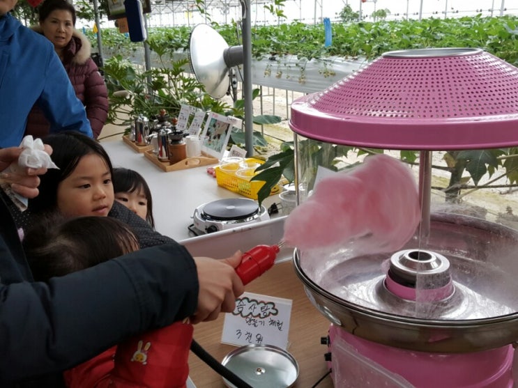 딸기 솜사탕 만들기체험~ : 네이버 블로그