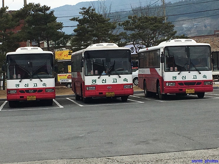 광신고속 BS090 로얄미디 3대 : 네이버 블로그