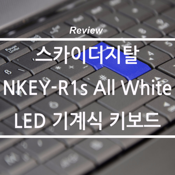 스카이디지탈의 Nkey R1s Rainbow LED 기계식키보드 구입후기 및 개봉기 : 네이버 블로그