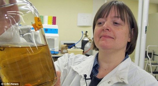 Microbiome을 의료에 적용하다. 장내 미생물 이식, Fecal microbiota transplantation (FMT ...