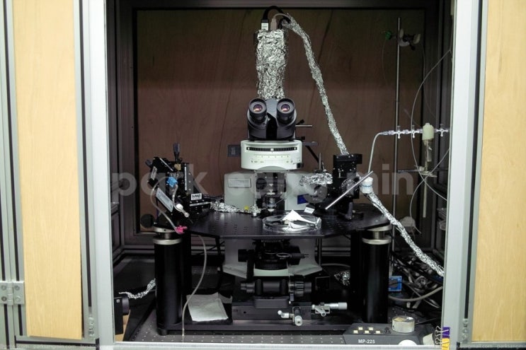 OLYMPUS BX51WI Fixed stage upright microscope (올림푸스 BX51WI) : 네이버 블로그